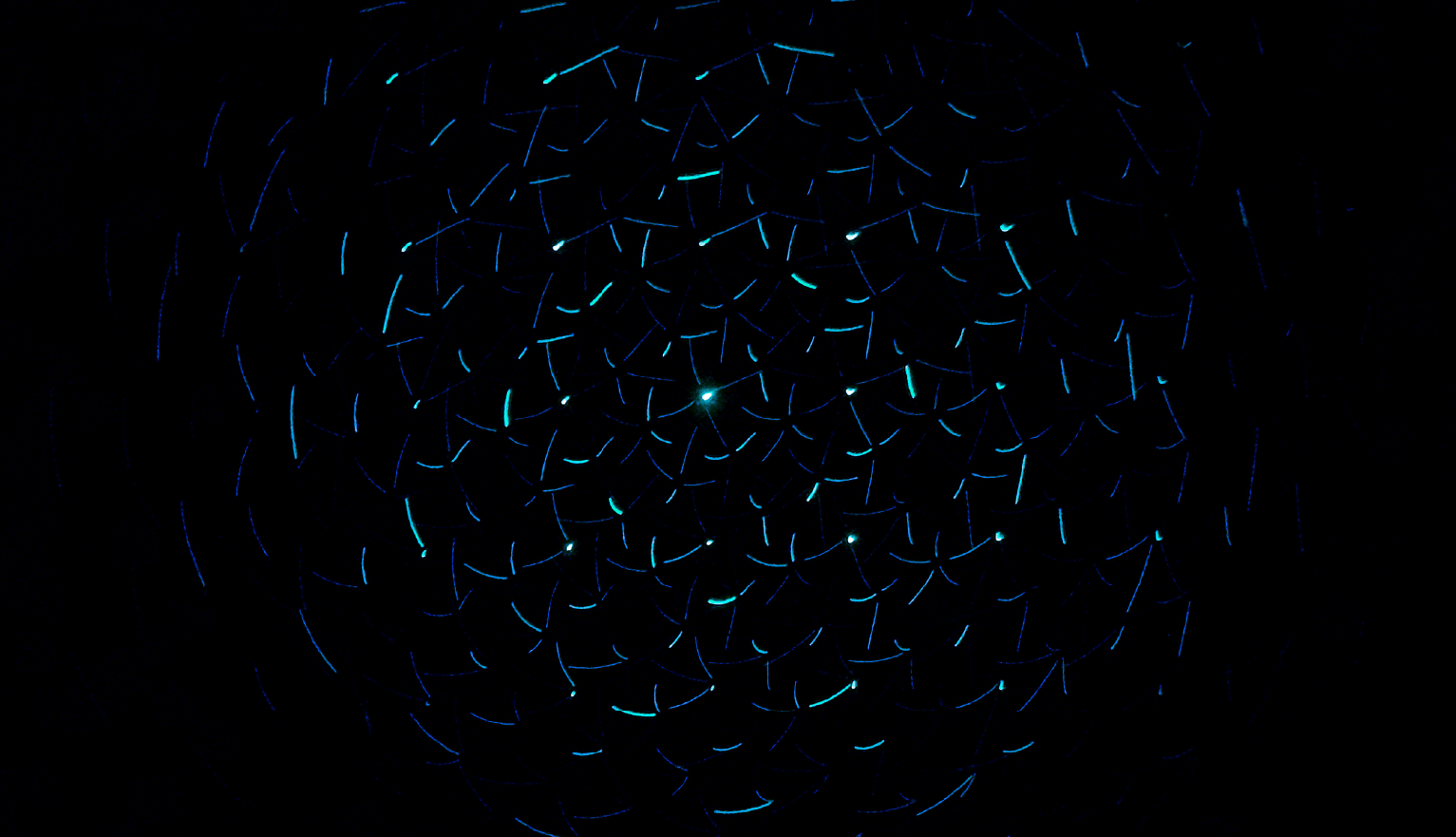 Cloud-Enabled vs. Cloud-Native: What Is the Difference and Why It Matters